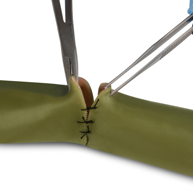 Intestine Suture Model for Medical Practice | ODM Manufacturer