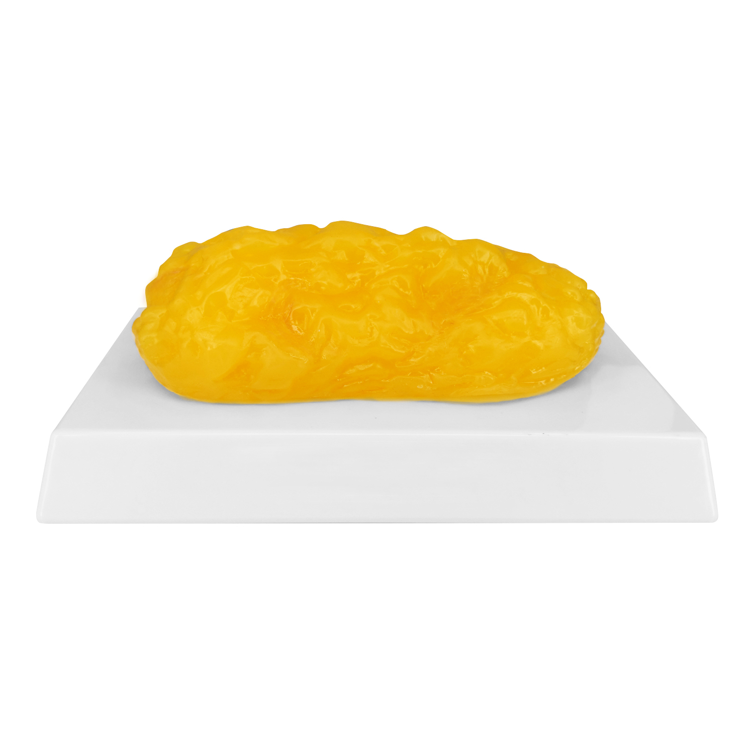 Human Body Fat Replica 1lb