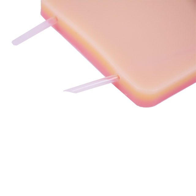 Venipuncture/Phlebotomy Practice Pad Model with Visible Vessel | OEM