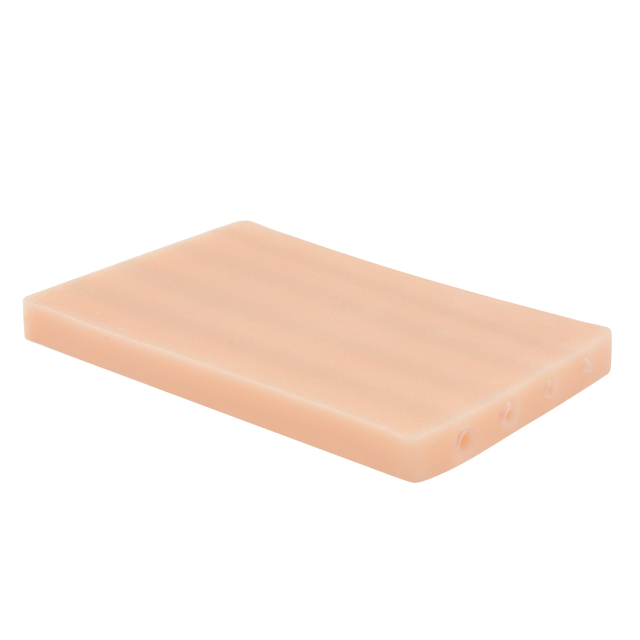 Student Venipuncture Practice Pad with 4 Different Veins and Dermatoglyph