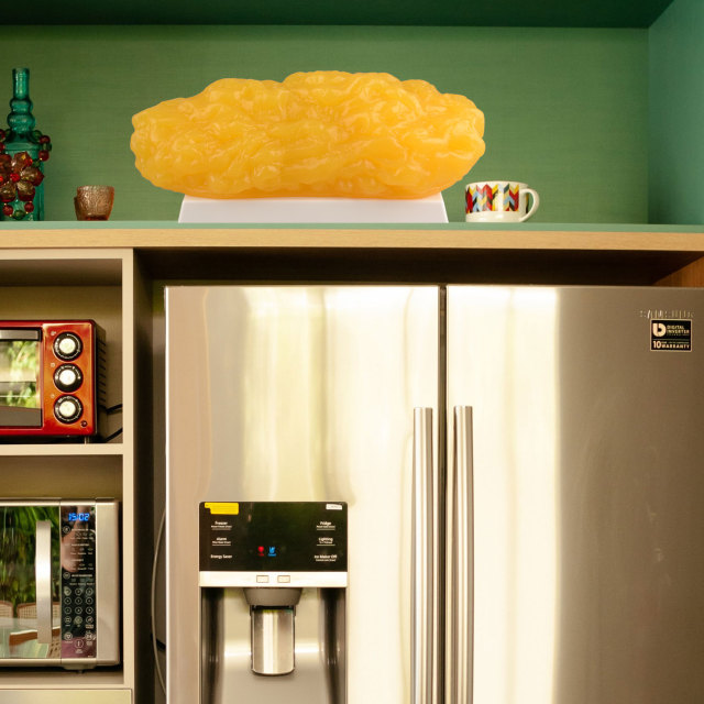 5lb of Body Fat Replica Model with Base