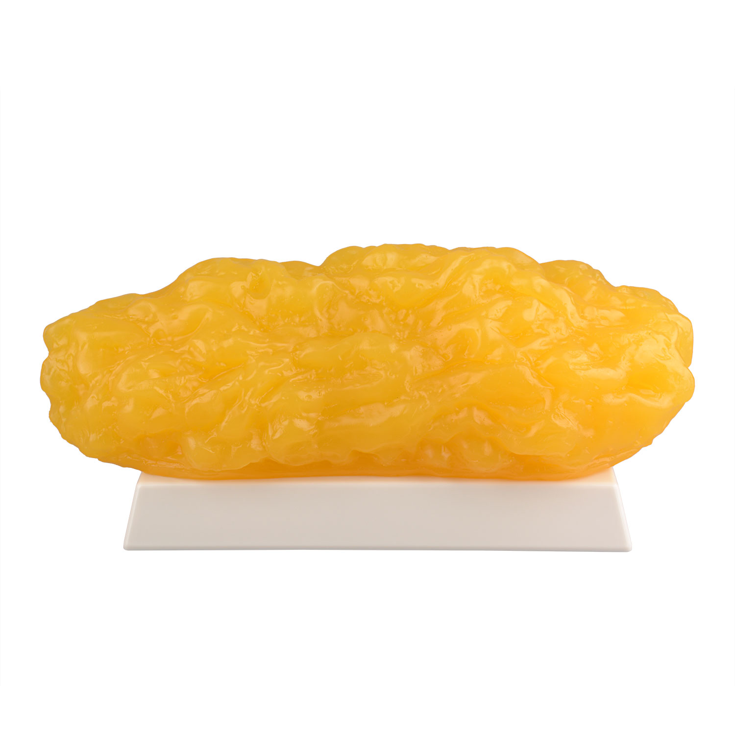 5lb of Body Fat Replica Model with Base
