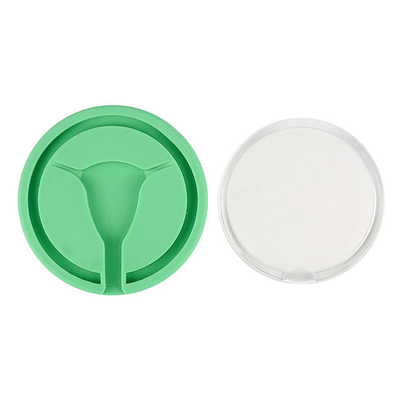 Pocket IUD Trainer for IUD Insertion Training Model,Various Colors ...