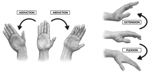 What is a Monofilament Test and Why Use?