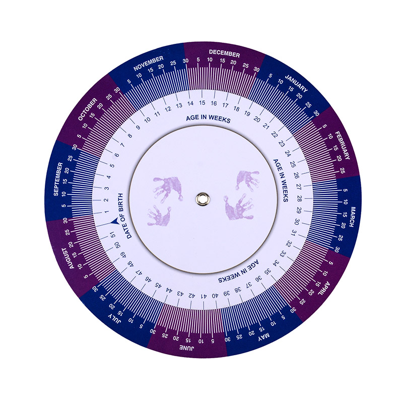 Custom Pregnancy Wheel Calculator for Midwives, Students, Residents