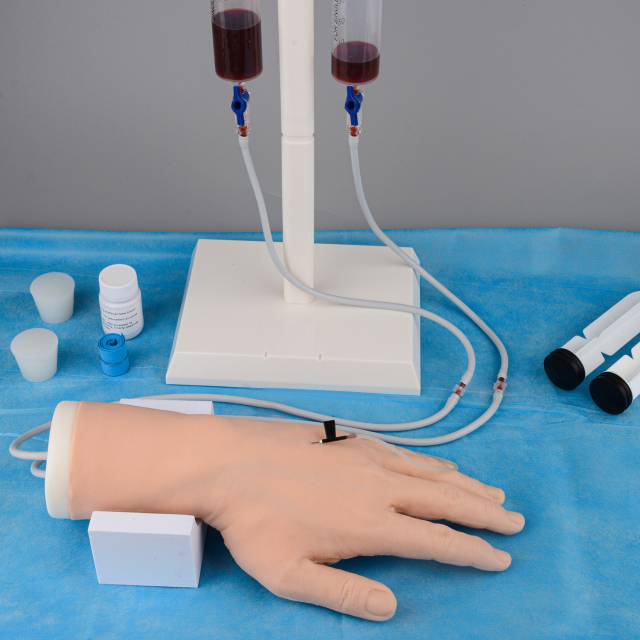 Adult Left IV Practice Hand Kit for Clinical Nursing Training