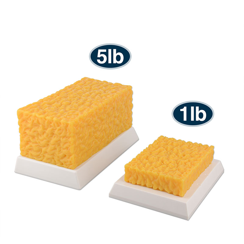 Brick Shape Muscle and Fat Replicas, 1lb, 5lb for Education