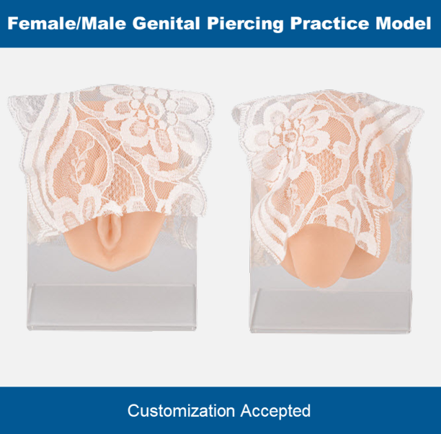 genital piercing chart