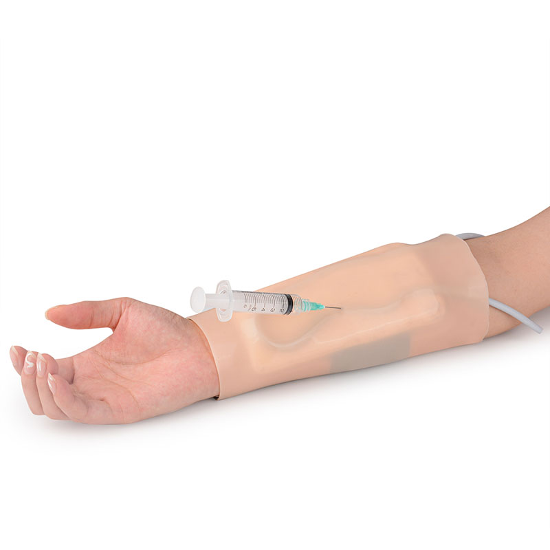 Detachable Forearm IV(Intravenous) and Phlebotomy Practice Kit