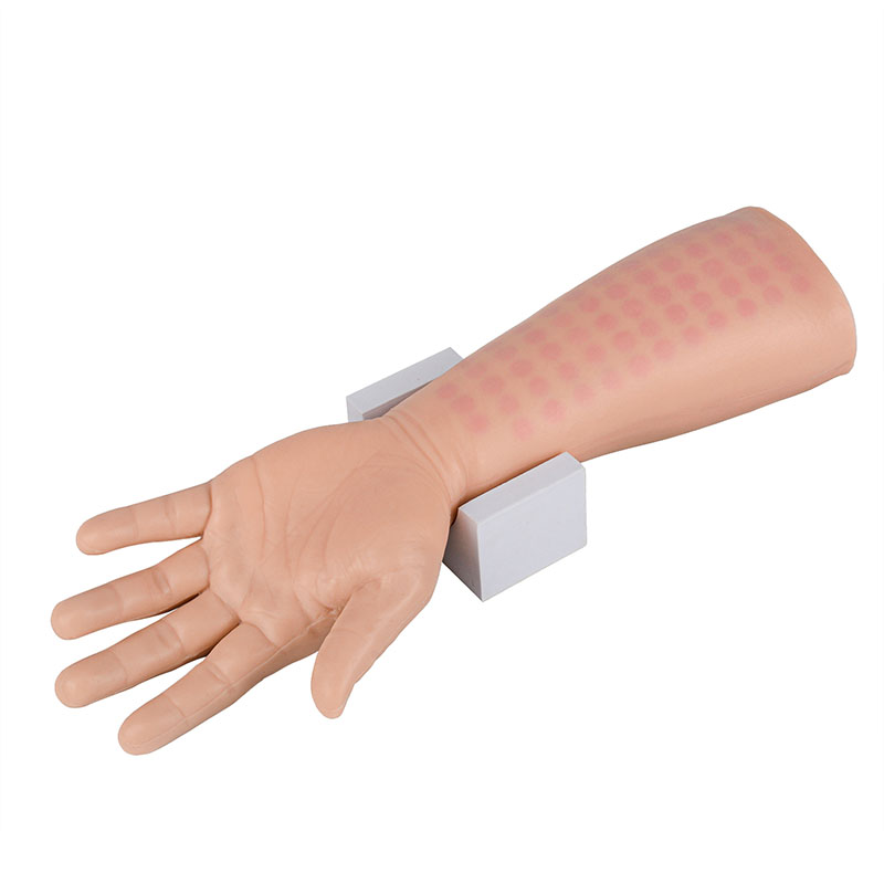 Intradermal Injection Practice Arm Simulator, 58 ID Spots | Custom