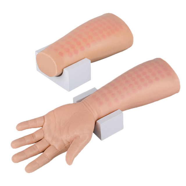 Intradermal Injection Practice Arm Simulator, 58 ID Spots | Custom