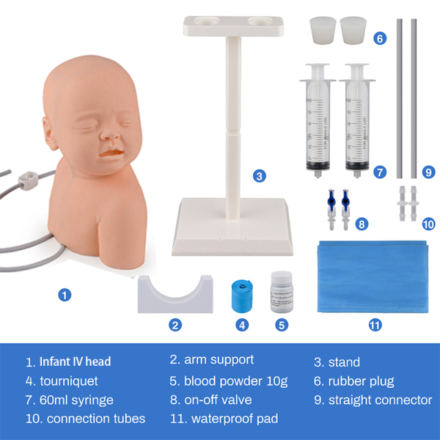 Infant Scalp Intravenous(IV) Injection Practice Head Model for ...