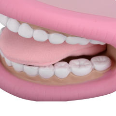 Mouth Hand Puppet with Tongue for Speech Therapy Dentist