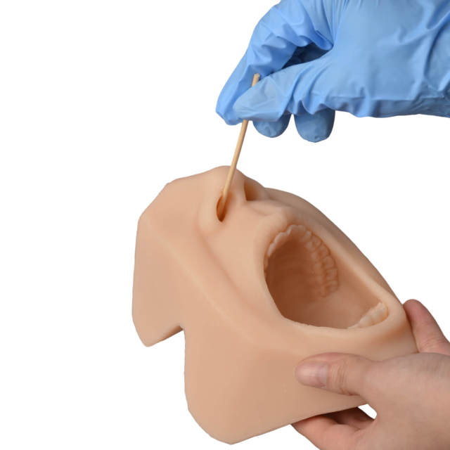 Upgraded Nasal & Throat Swab Collection Training Simulator