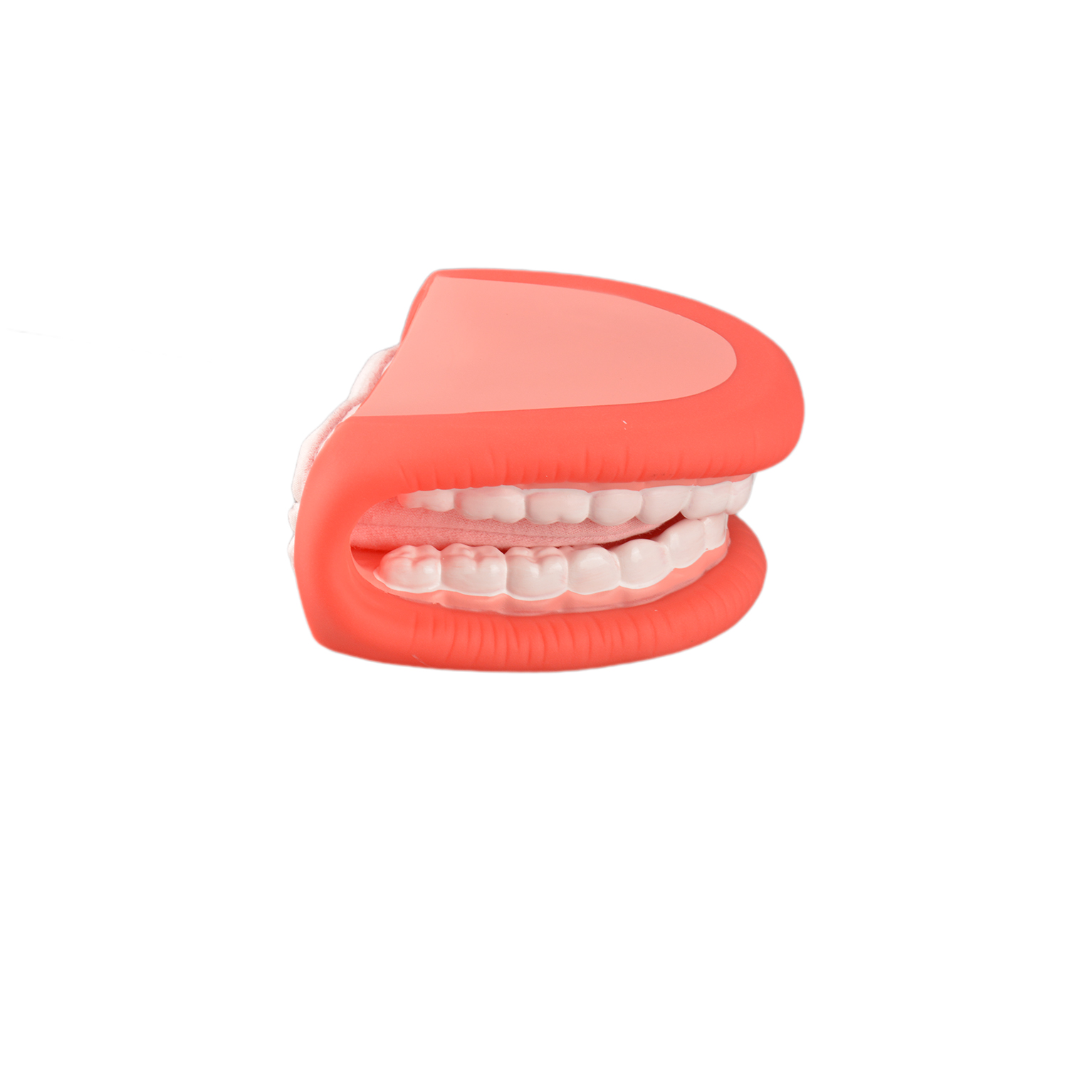 Mouth Hand Puppet with Tongue for Speech Therapy Dentist