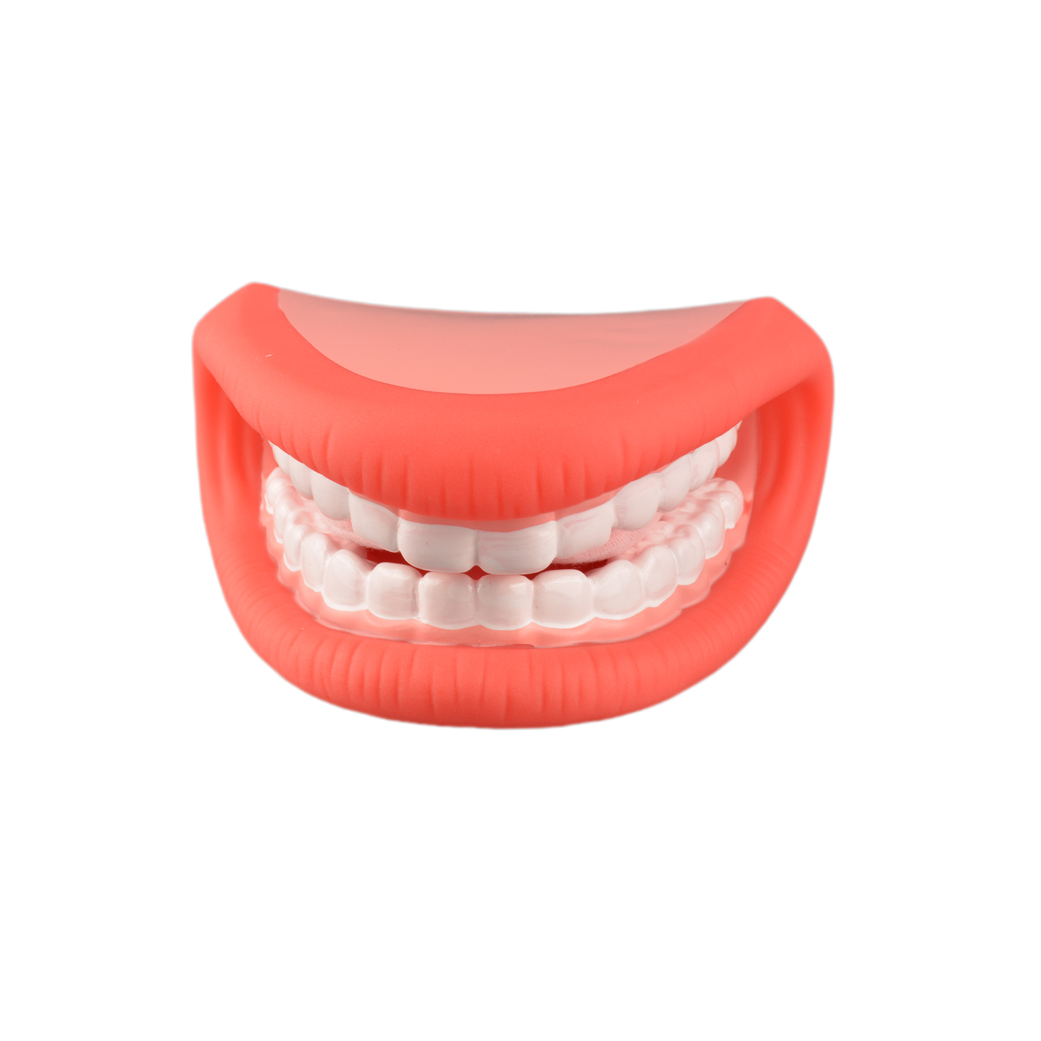 Mighty Mouth Puppet with Tongue for Speech Therapy