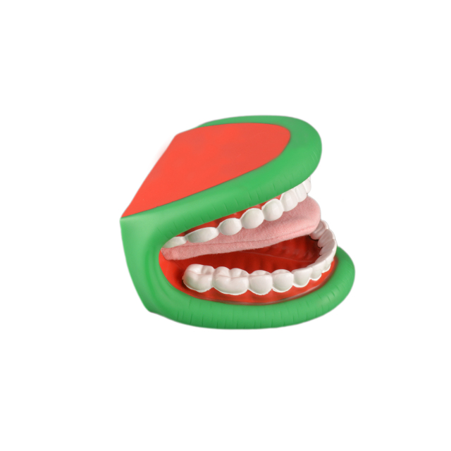 Mouth Hand Puppet with Tongue for Speech Therapy Dentist