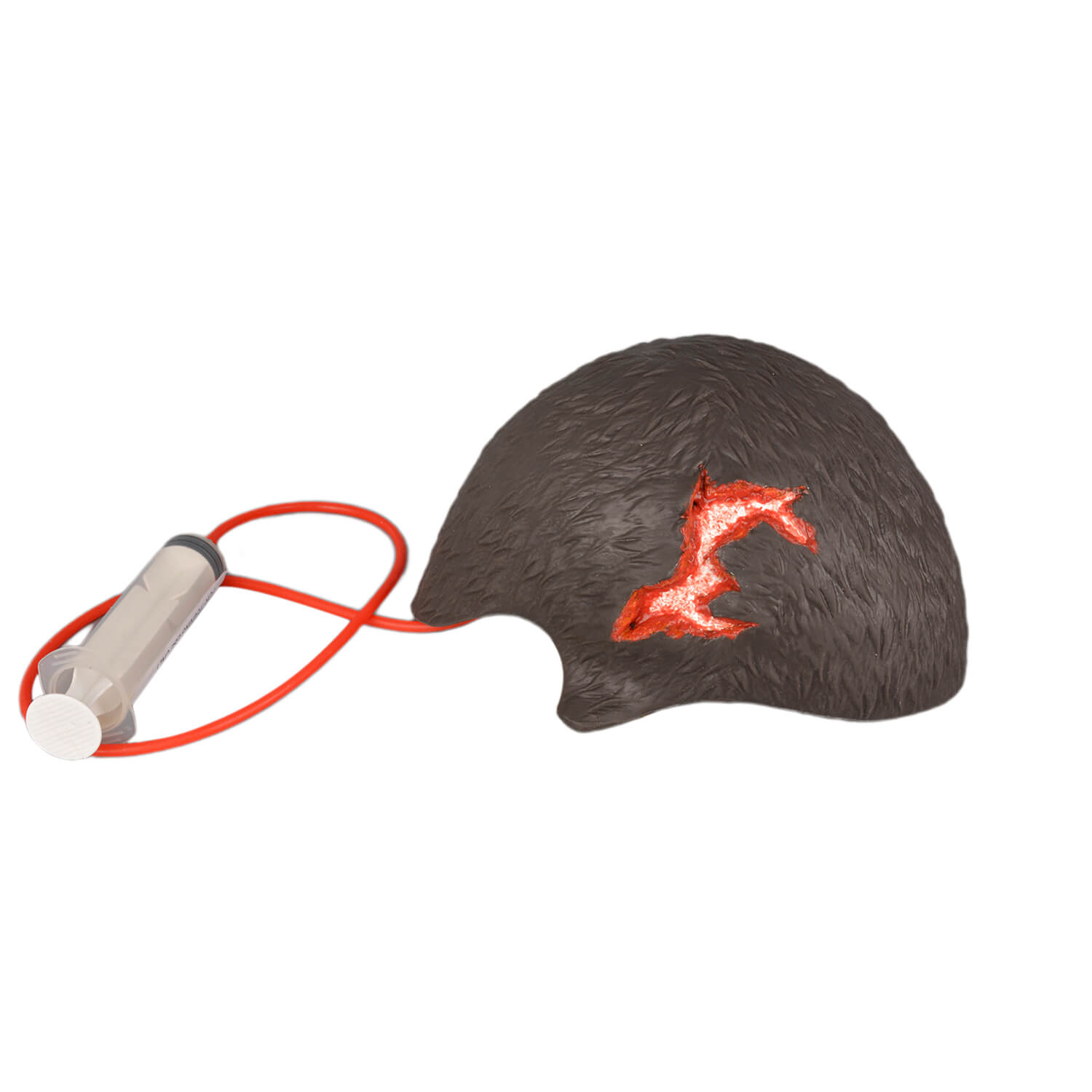 Open Scalp Wound Moulage, Brown and Dark Skin