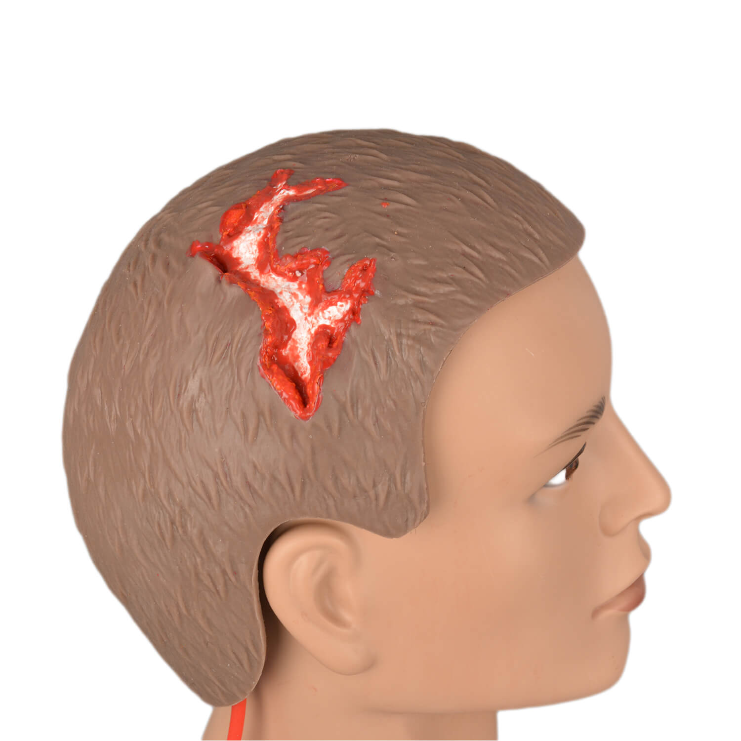 Open Scalp Wound Moulage, Brown and Dark Skin