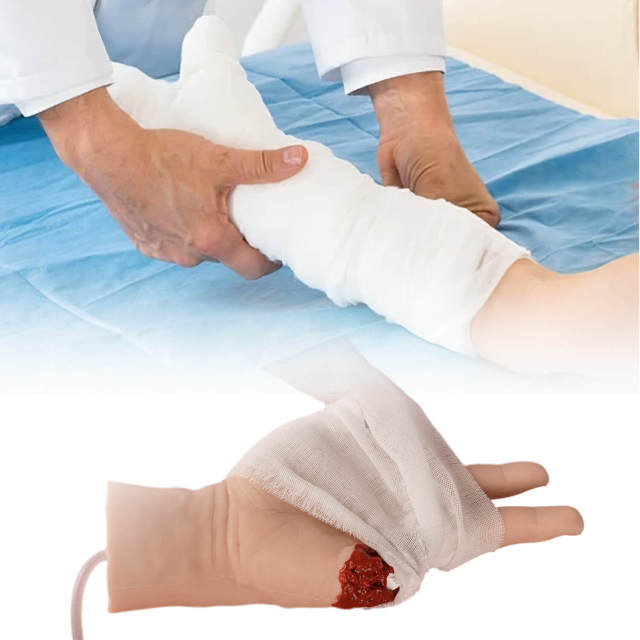 Amputated Finger Stop Bleeding Training Hand Kit