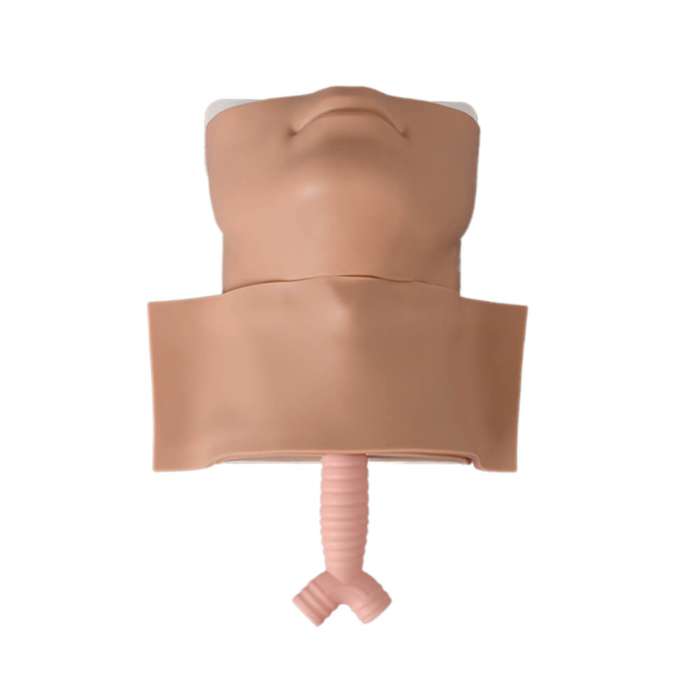 Cricothyrotomy Task Trainer for Emergency Airway Management