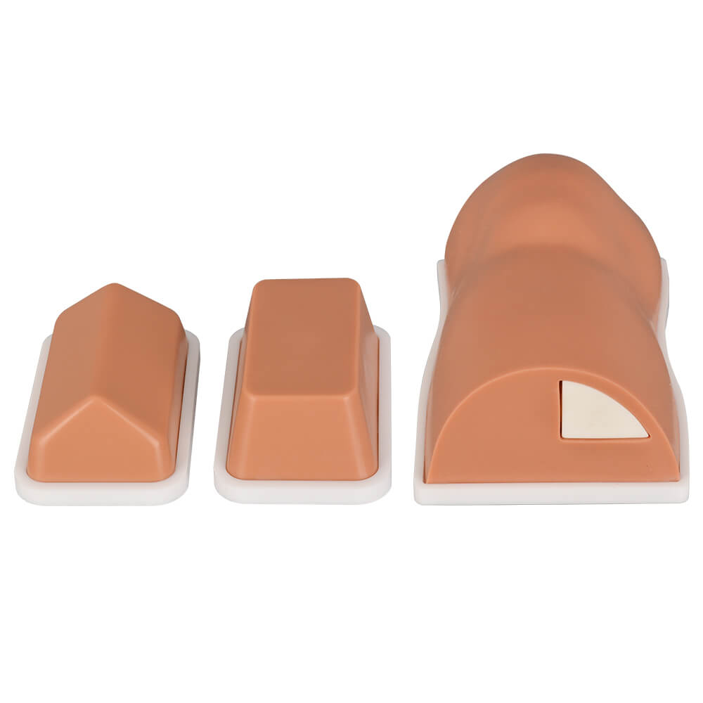 Tibia Intraosseous(IO) Trainer with Detachable Inner Bone