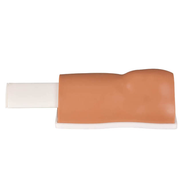 Tibia Intraosseous(IO) Trainer with Detachable Inner Bone