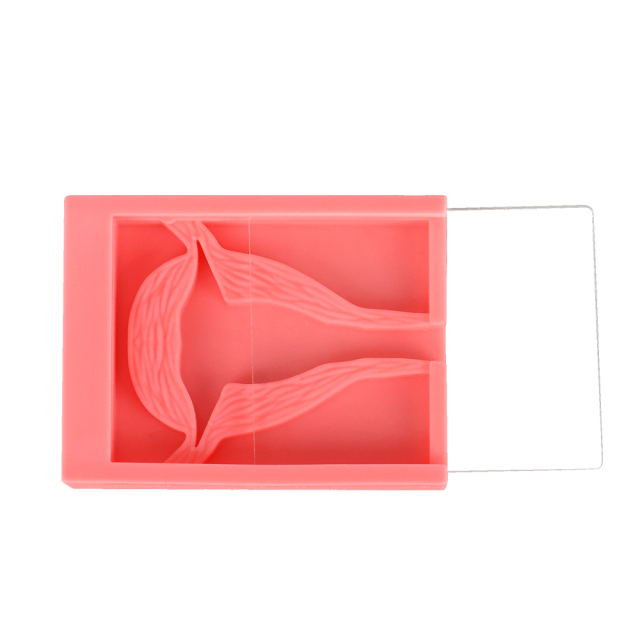 Intrauterine Device Insertion Training Tool