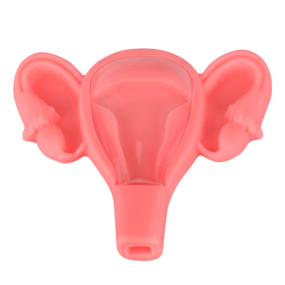 Uterus-shaped 3D IUD Training Model