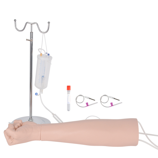 Phlebotomy Practice Arm With Replaceable Skin Design