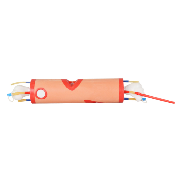 Emergency Arm Bleeding Control Training Kit