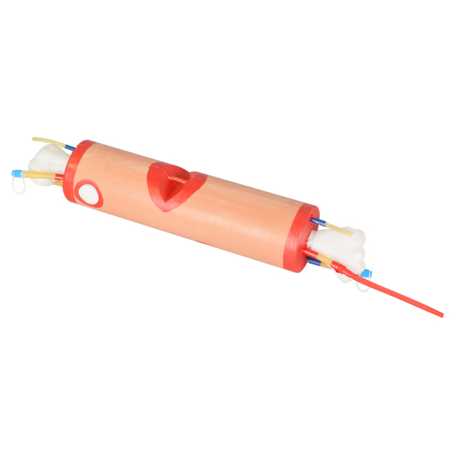 Emergency Arm Bleeding Control Training Kit