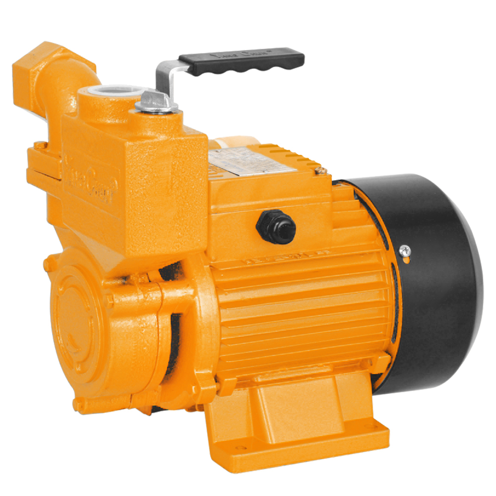 WORKSITE Automatic Self-Priming Peripheral Pump