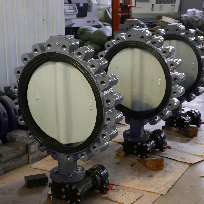 Lug Type Butterfly Valve