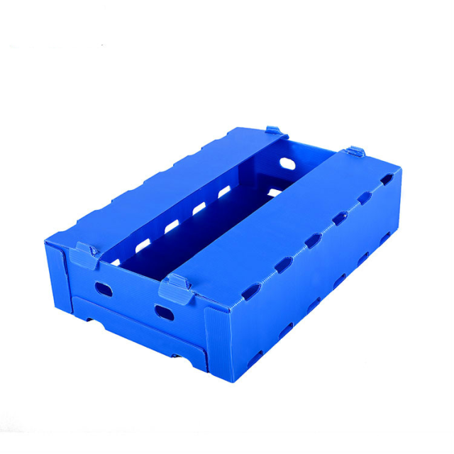 PP plastic corflute fruit box plastic corrugated plastic box reused ...