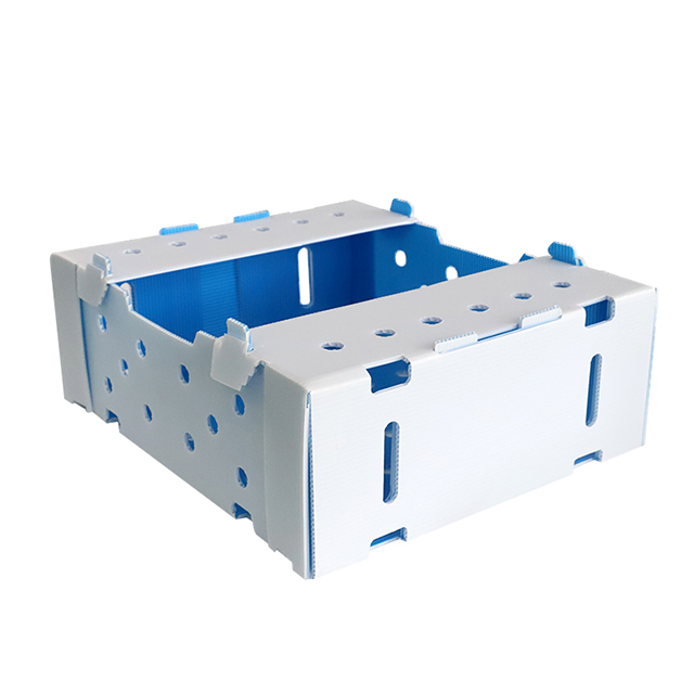 PP plastic corflute fruit box plastic corrugated plastic box reused ...