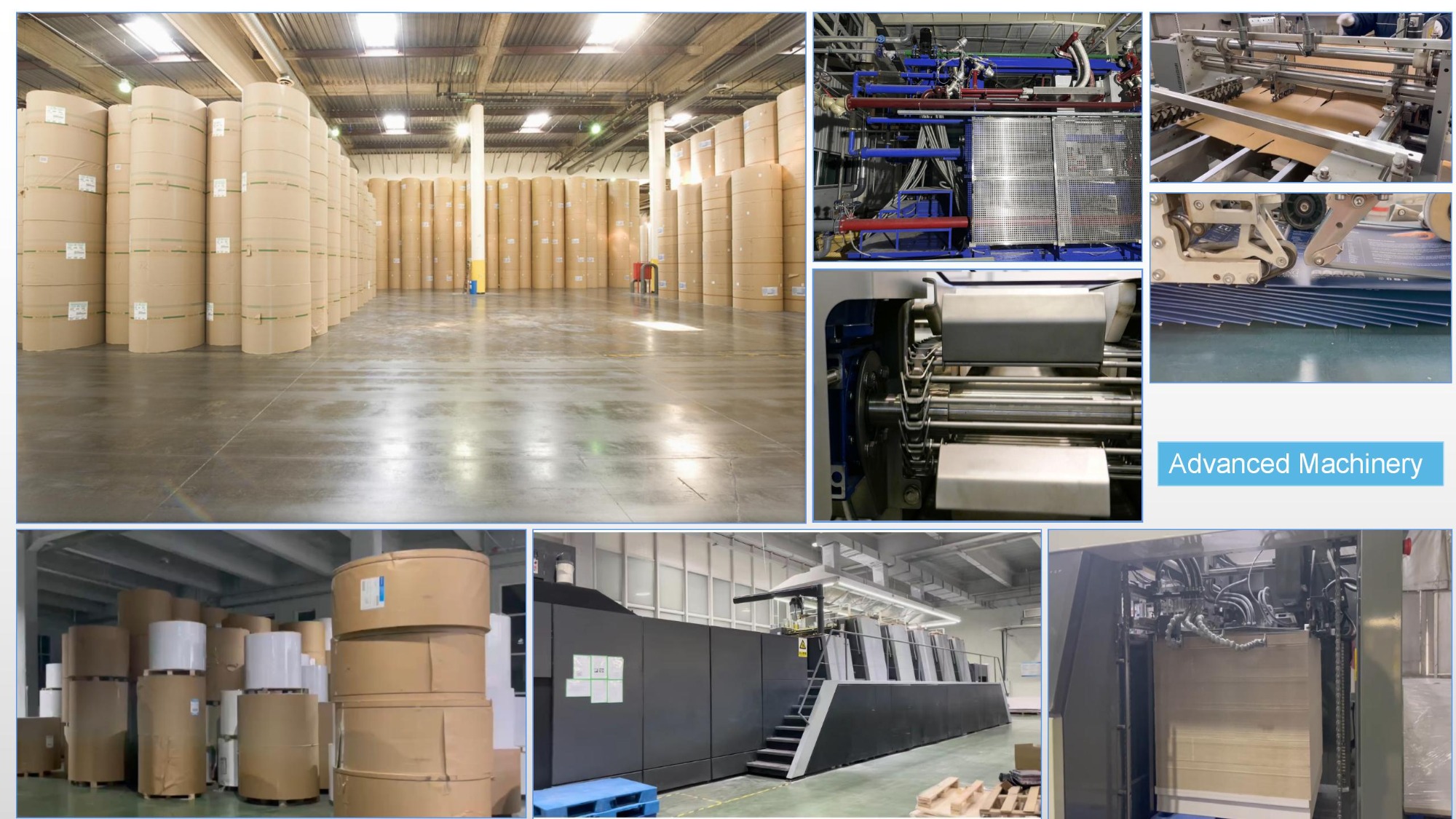 10kg fish fillet cartons for frozen seafood