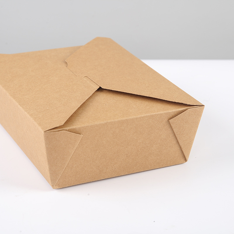 Disposable foldable take away lunch box