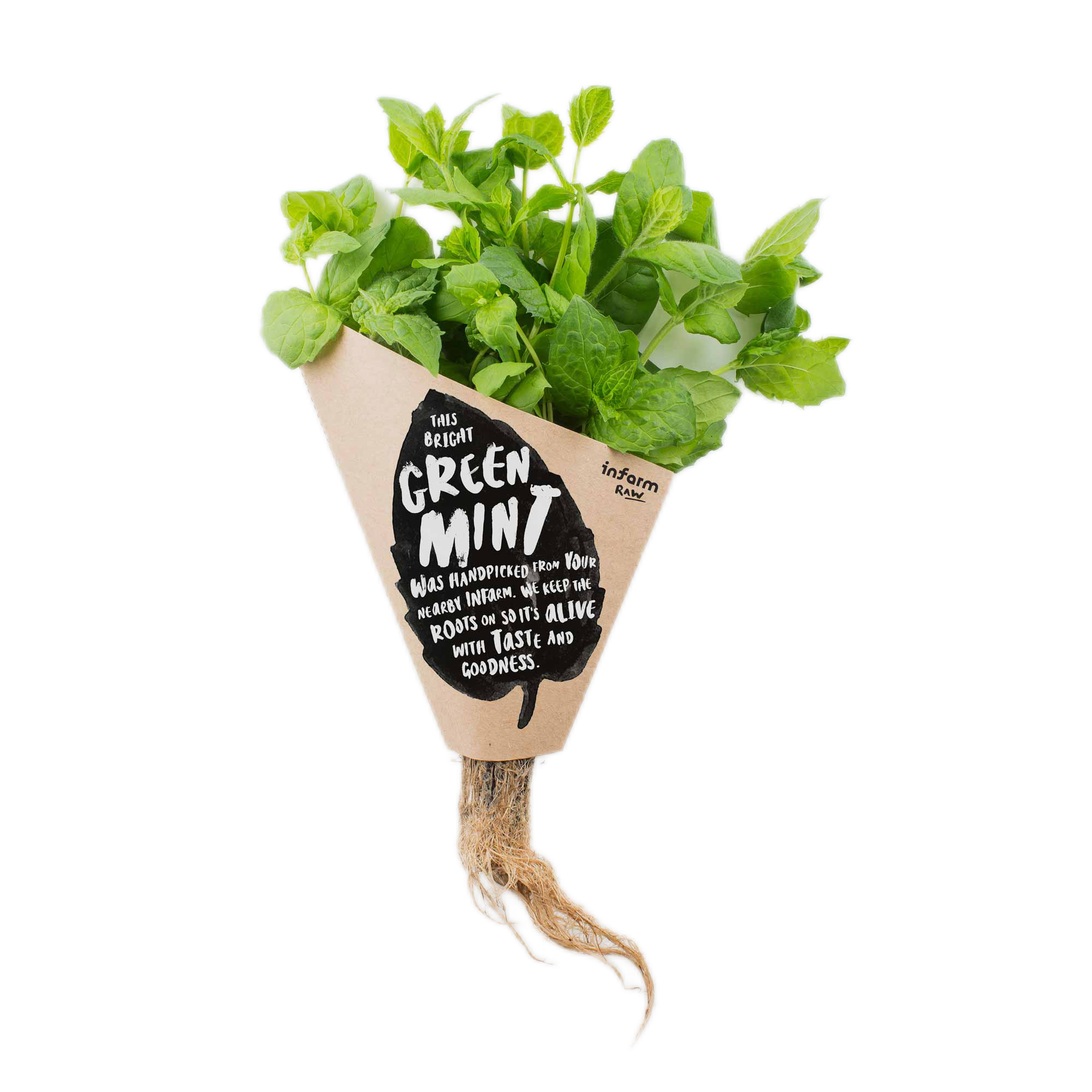 Vegetable kraft paper wraper packaging