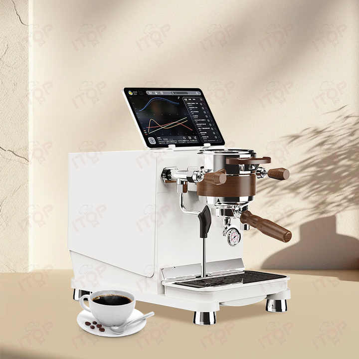 IT-CM-WSG1/IT-CM-WSS1 Italian 110v/220v Semi-Automatic Espresso Coffee ...