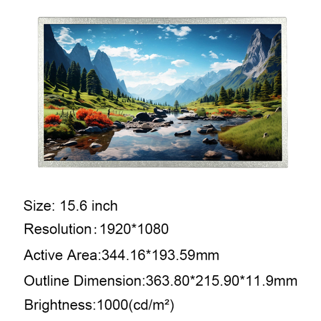 15.6 Inch 1920x1080 Wide Temperature LVDS IPS LCD Display