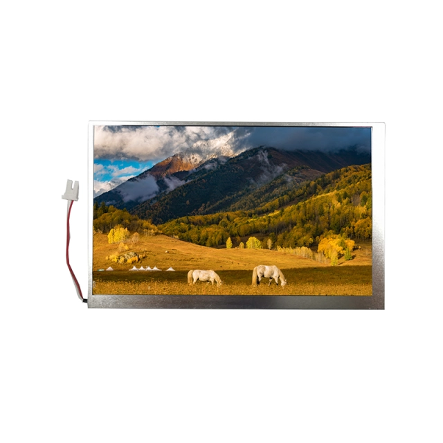 Customizing LCD Displays for Unique Business Needs