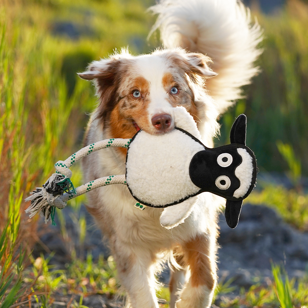 White Sheep Rope Toy - L