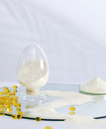 DHA Algae oil microcapsule powder