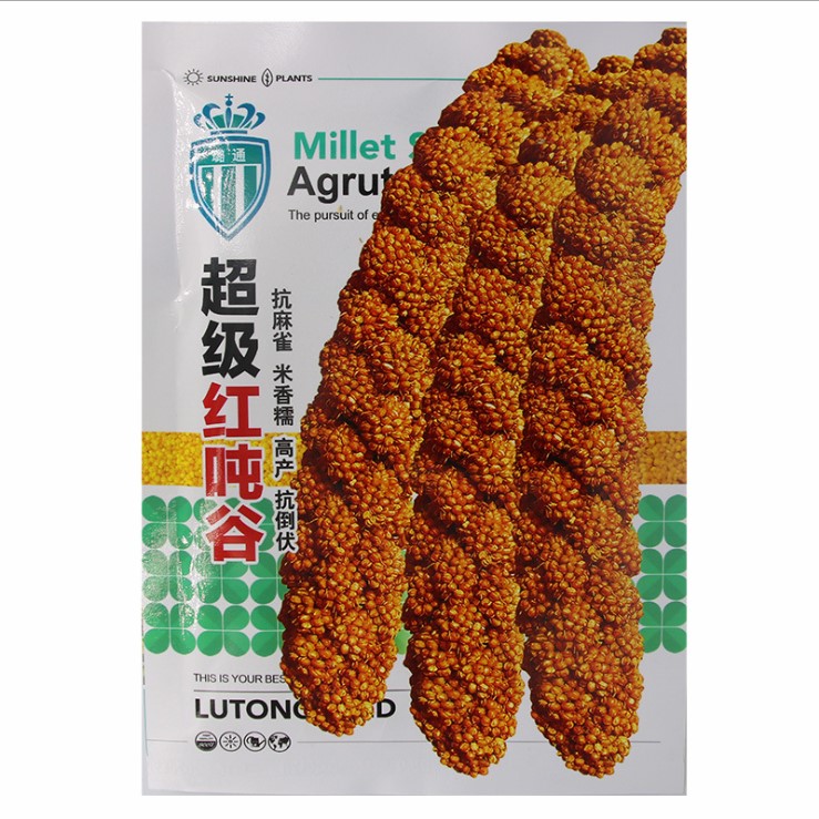 white millet seed near me