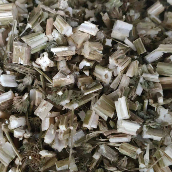motherwort seeds,leonurus seed,motherwort seeds for sale