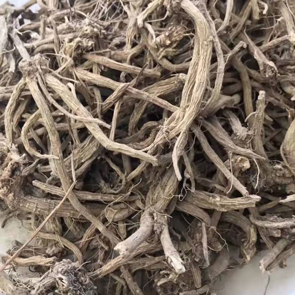 Dipsacus asper seeds,herb seeds,Teasel Root seeds