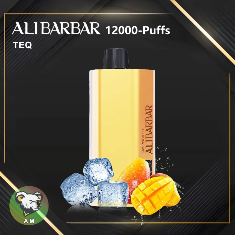 Alibarbar Third-party Factory 12000 Puff Disposable Vape | Massive Long ...