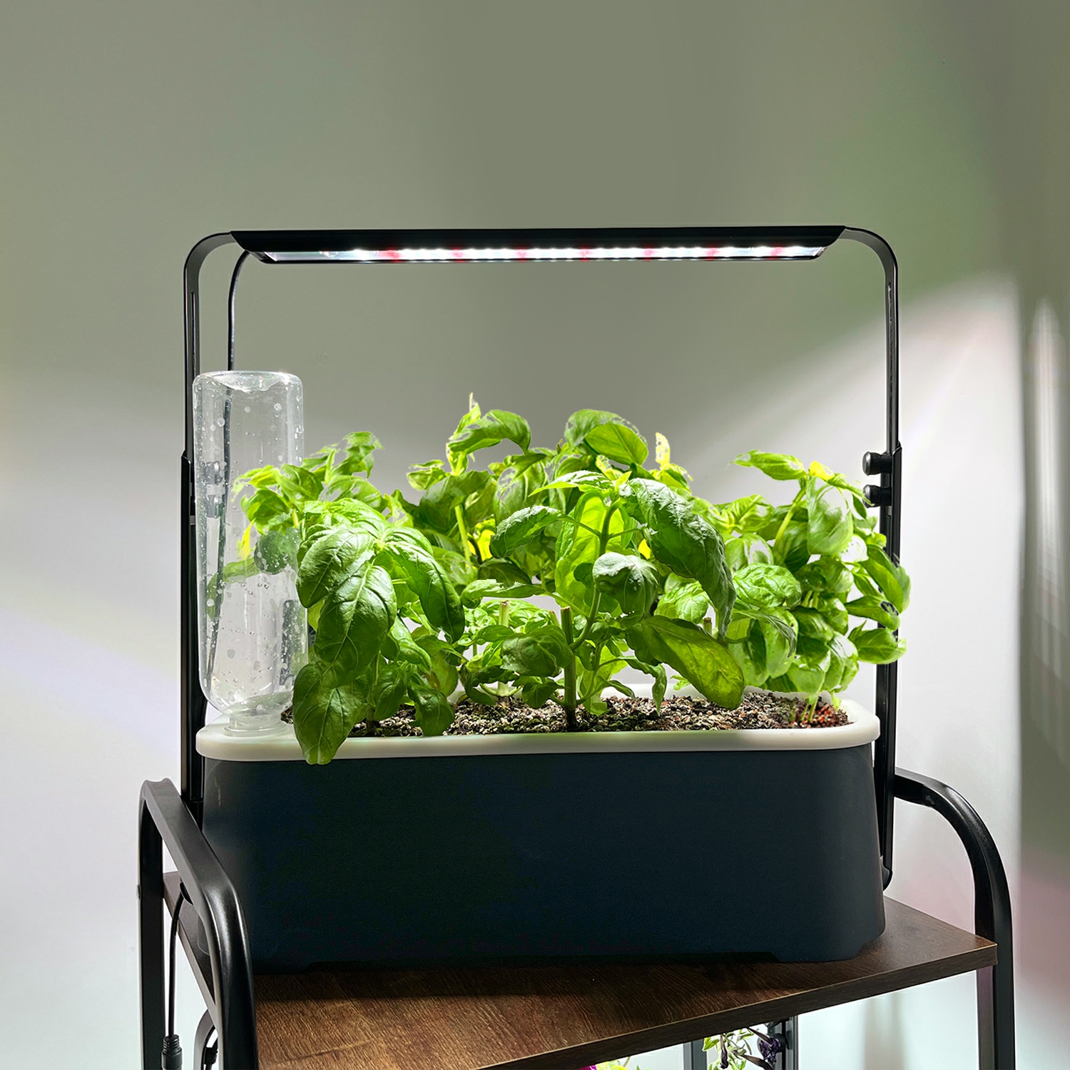 Self Watering Indoor Soil Cultivation Garden Smart Growing System for ...