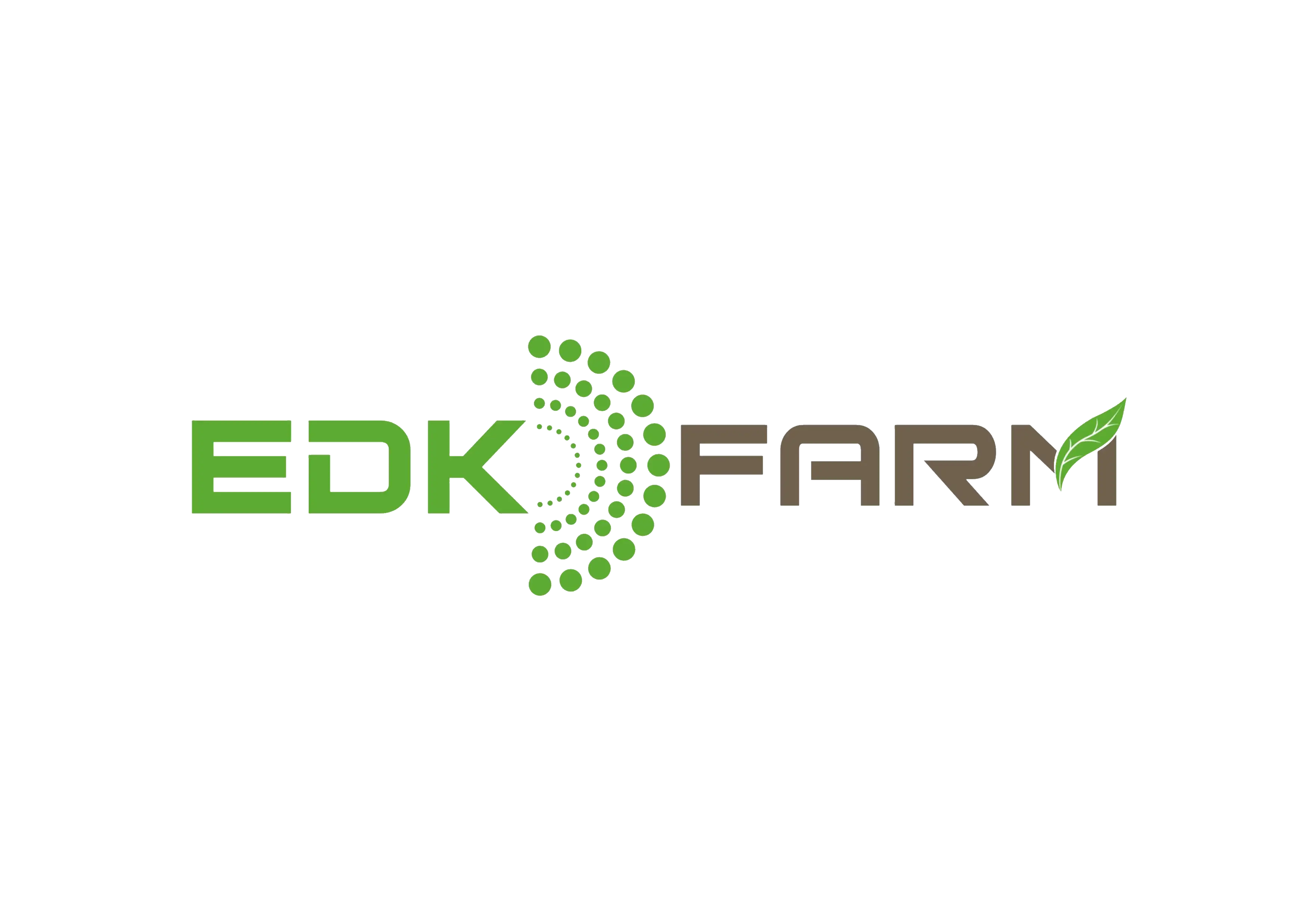 Why Are Agave Leaves Turning Yellow? Causes, Solutions, and Tools to ...